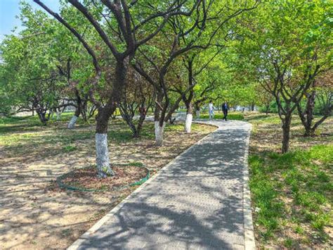 独家：春日时节 北京明城墙遗址公园景美如画