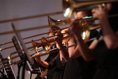 Types Of Musical Instruments Choose The Right One For You Muziker