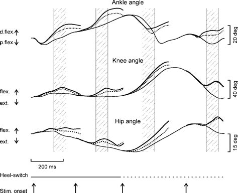 Average Kinematic Responses N 5 At The Ankle Knee And Hip Joints