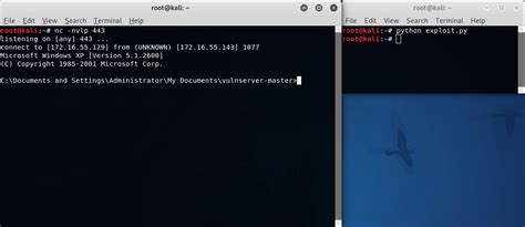Exploit Development Second Stage Payload Ws32recv Socket Reuse
