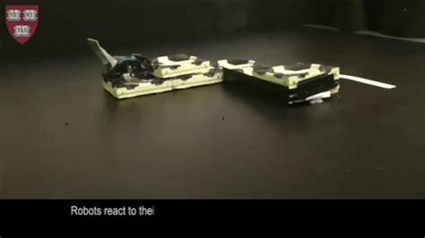 Supriya Rathi On Linkedin Autonomous Robotic Construction Crew