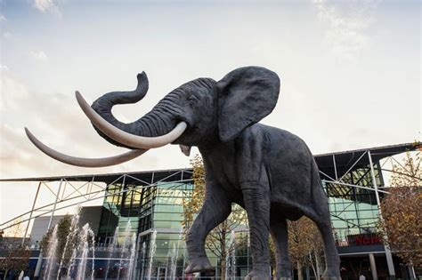 Gerri Botha On Linkedin Sowetos Maponya Mall Community Hub To