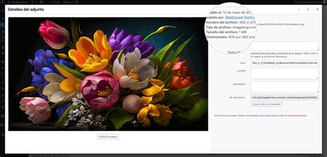 ¿qué Es Un Archivo Svg Una Guía Para Principiantes Sobre Scalable Vector Graphic Bc De Siteground
