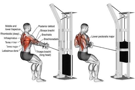 Low Cable Row How To Do And Muscles Worked