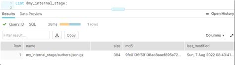 How To Load And Query Json Data In Snowflake Thinketl