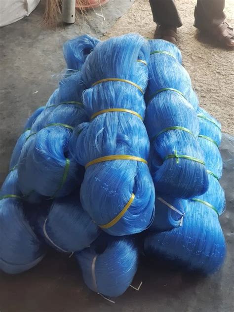 Nylon Green Crop Support Net For Agriculture At Rs 500square Meter In