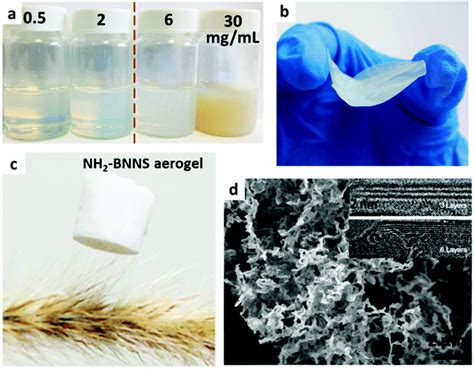 Functionalized Hexagonal Boron Nitride Nanomaterials Emerging Properties And Applications