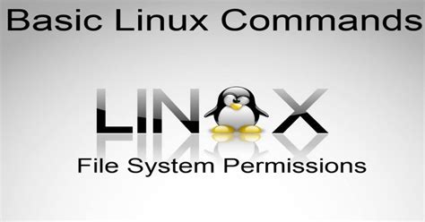 Linux Filesystem Permissions Most Simplified