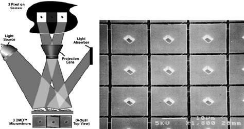Digital Light Processing Device—working Principle And Sem Image Of An