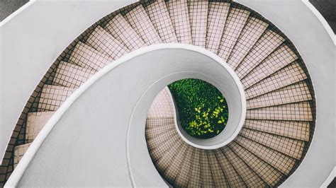 Beauty Memory Unity The Theory Of Proportion Institute Of