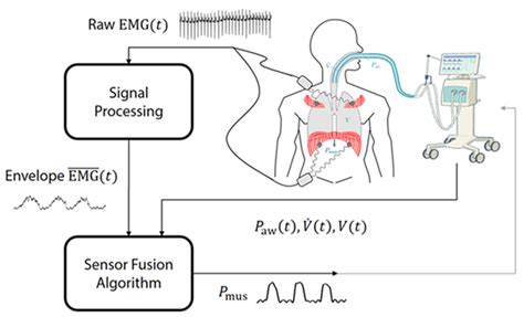 biomedical signal processing and ai institute for electrical engineering