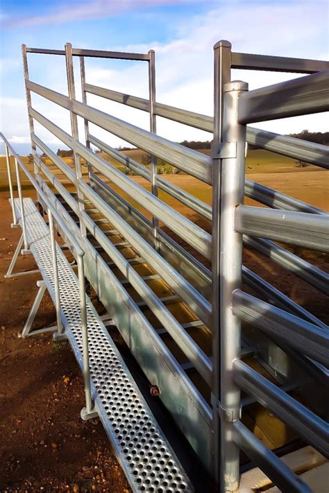 Cattle Loading Ramps Commander Agriculture Cattle Wellness Design Yard