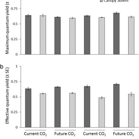 The A Maximum Quantum Yield SE And B Effective Quantum Yield Download Scientific Diagram