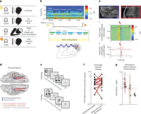 Neocortical Stimulation Synchronized To Medial Temporal Lobe Sleep