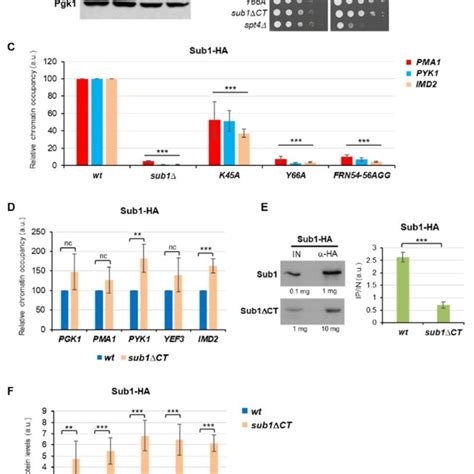 The Dna Binding Domain Of Saccharomyces Cerevisiae Sub1 Is