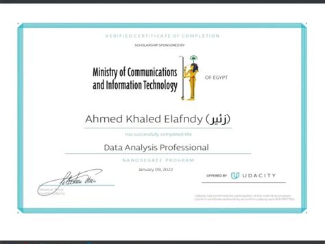 creative data analysis using python upwork
