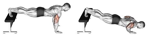 18 Types Of Push Ups Variations Novice Intermediate Advanced Inspire Us