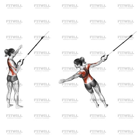 Suspension Power Pull Exercise Guide Techniques Benefits How To