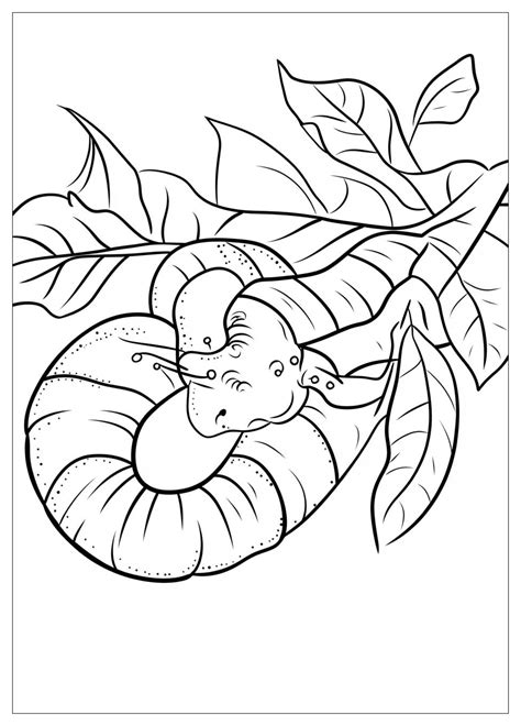 Kukac Színező Színes Kukac Rajzok és Kreatív Tervezés