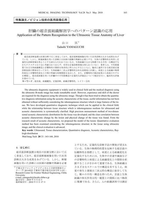 Pdf Application Of The Pattern Recognition To The Ultrasonic Tissue Anatomy Of Liver