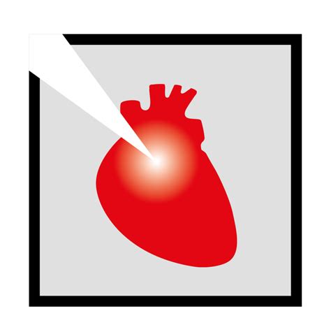 Hablemos De La Enfermedad De La Aorta Abdominal Caci