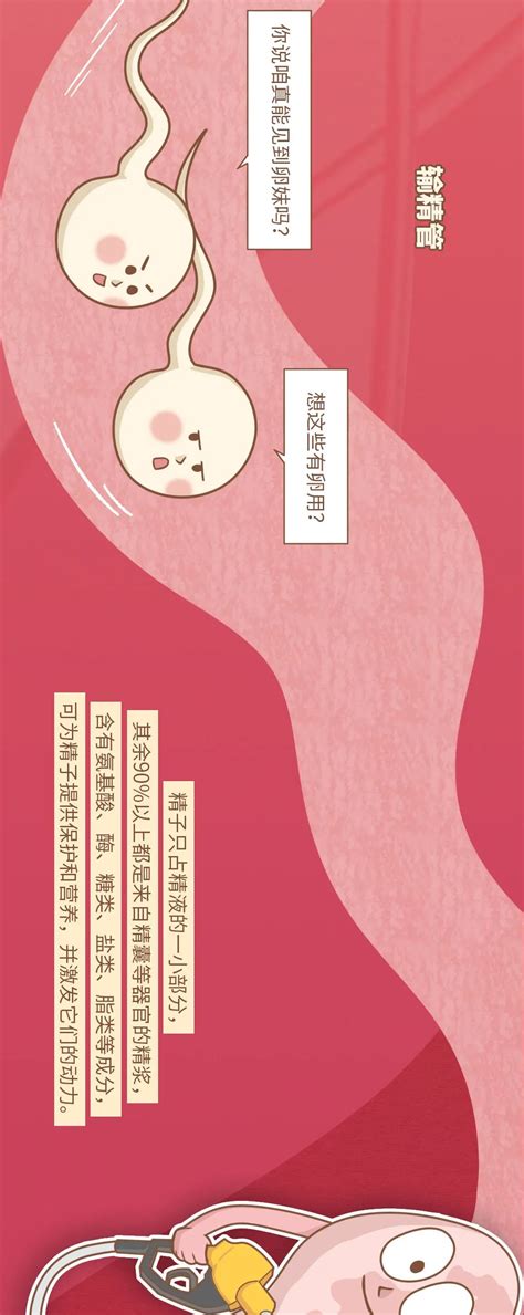 精子在体外能存活多久？ 趣问万物条漫 澎湃号·湃客 澎湃新闻 The Paper