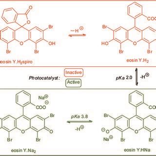 Acidbase Behaviour Of Eosin Y Download Scientific Diagram