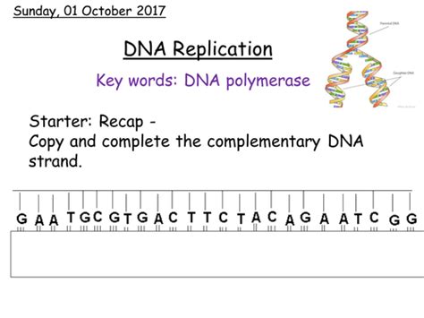 Edexcel Snab Biology Topic 2 Genes And Health Topic 2c Dna And
