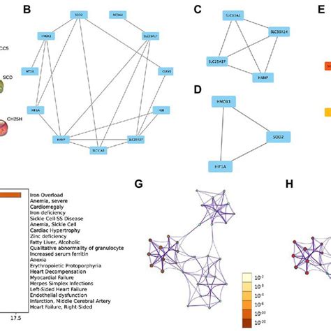 Proteinprotein Interaction Ppi Networks In Common Degs Of Iron