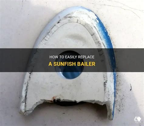 How To Easily Replace A Sunfish Bailer Petshun