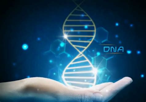 Dna의 역사와 발전 And Rna 추출 기술 Dna 테스트 전문가