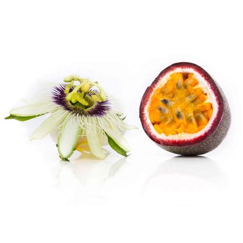 Frederick Passion Vine Grow Exotic Flowers And Fruit
