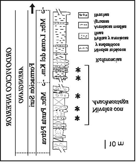 Perfil Estratigráfico Esquemático De La Formación Suri Aflorante En La