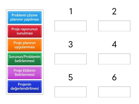 Stem Proje Hazırlama Basamakları Group Sort