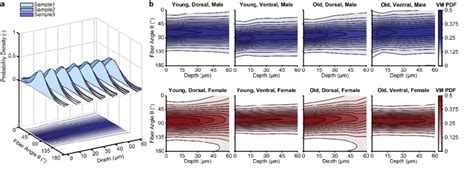 Microstructural Organization Is Preserved Across Age And Sex A