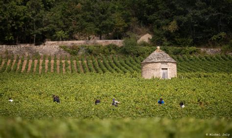 Savigny Lès Beaune Clos Des Godeaux Becky Wasserman And Co