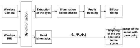 Robust Head Mounted Wearable Eye Tracking System For Dynamical Calibration
