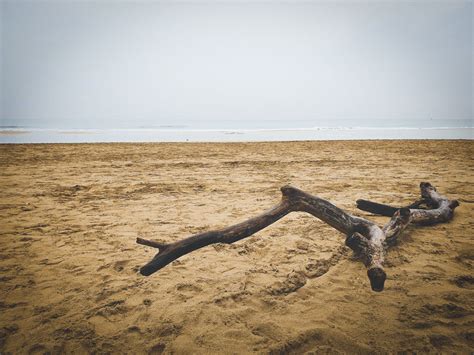 Driftwood Muhammad Umair Siddiqui