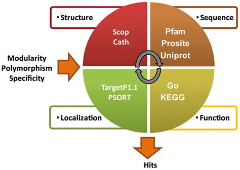 Strategy For Identifying Novel Modular Dna Targeting Platforms