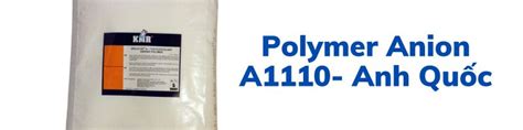 Polymer Anion Là Gì Tính Chất Ứng Dụng Và Vai Trò Trong Công Nghiệp