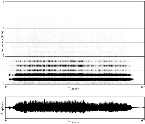 Waveform And Spectrogram Plot For A Flutter Tongued Flute Tone Pitch