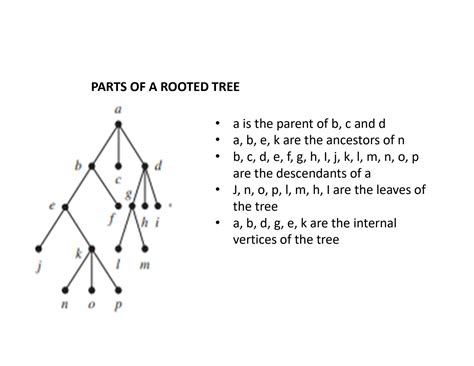 Solution Tree Data Structures Studypool