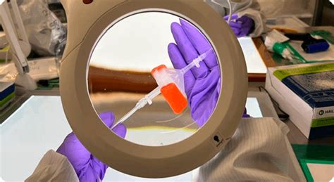 Choosing The Right Filter For Your Cell Therapy Process