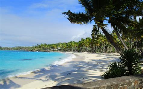 Beach Summer Landscape Palm Trees Sand Nature Wallpaper Nature