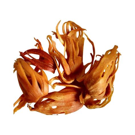 Buy Javitri Phool Jaypatri Whole Mace Flower Online At Best Price In