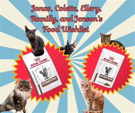 Food Donations Thank You So Jacksons Rescue Cat Cafe Facebook