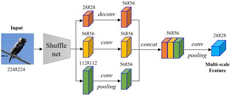 automatic bird species recognition from images with feature enhancement