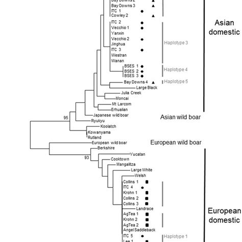 Structure Bar Plot With Each Bar Representing The Proportion Of
