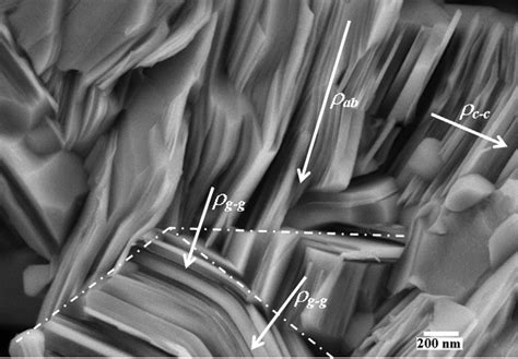 Sem Image Of The Ca 3 Co 4 O 9 Ceramic Sample With Marked ρ Ab − ρ C