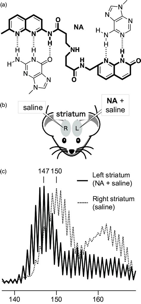 A Chemical Structure Of Cag Repeat Binding Molecule Na Shown In Download Scientific Diagram